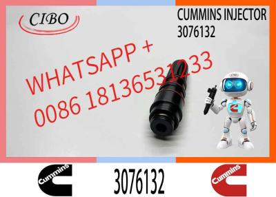 China Diesel Engine Parts Fuel Injector Assembly 3076132 for Cummins NT855-G4 Series Engine for sale