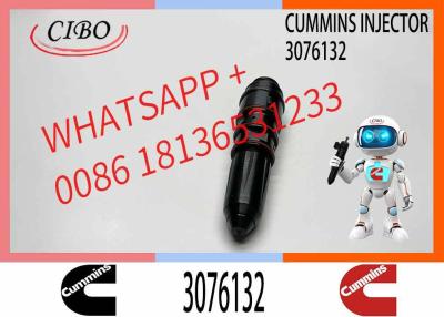 China Diesel Engine Parts Fuel Injector Assembly 3076132 for Cummins NT855-G4 Series Engine for sale