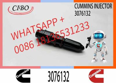China Diesel Engine Parts Fuel Injector Assembly 3076132 for Cummins NT855-G4 Series Engine for sale