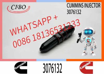 China Diesel Engine Parts Fuel Injector Assembly 3076132 for Cummins NT855-G4 Series Engine for sale