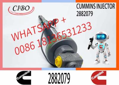 China Common Rail Injector 2882079 4964172 4964170 4955524 2867148 2867149 4964171 for QSK19 QSK38 QSK50 QSK60 Diesel Engine for sale