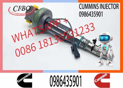 China High Quality Diesel Fuel Injector 0986435901 Common Rail Injector Fits QSK19 Engine for sale