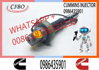 China High Quality Diesel Fuel Injector 0986435901 Common Rail Injector Fits QSK19 Engine for sale