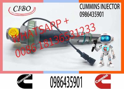 China High Quality Diesel Fuel Injector 0986435901 Common Rail Injector Fits QSK19 Engine for sale