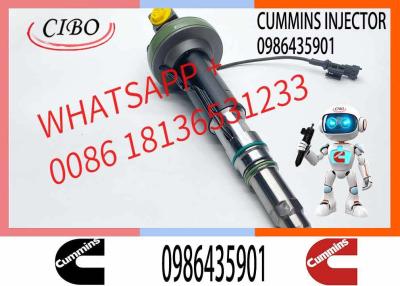 China High Quality Diesel Fuel Injector 0986435901 Common Rail Injector Fits QSK19 Engine for sale