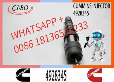 China High Quality QSK23 QSK60 Diesel Engine Fuel Injector Parts 6D170 6560-11-1414 4902828 4928345 for Construction Machinery for sale