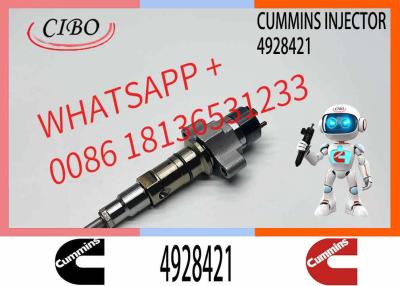 China Injection Valve 4928421 for diesel Engine Fuel Injection Pump Injector Assembly High Quality Supply for sale