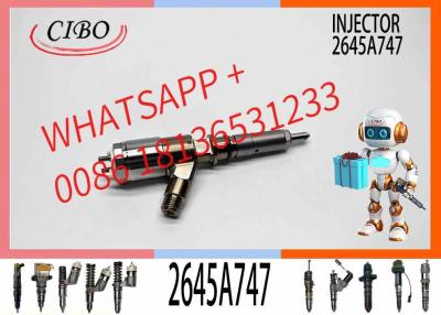 China Excavator Injector 2645A718 2645A734 2645A747 for C4 C6 Diesel Engine Parts Nozzle Assembly for sale