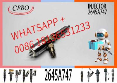 China Excavator Injector 2645A718 2645A734 2645A747 for C4 C6 Diesel Engine Parts Nozzle Assembly for sale