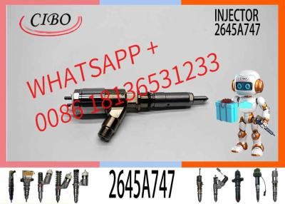 China Excavator Injector 2645A718 2645A734 2645A747 for C4 C6 Diesel Engine Parts Nozzle Assembly for sale