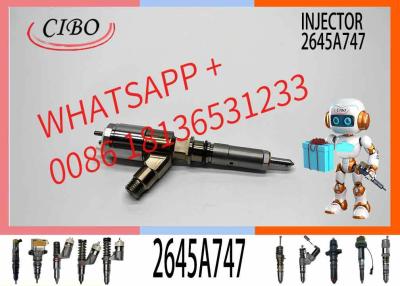 China Excavator Injector 2645A718 2645A734 2645A747 for C4 C6 Diesel Engine Parts Nozzle Assembly for sale