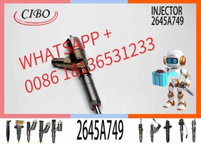 China High Quality Fuel Injector for  323D Excavator  Engine 2645A735 2645A719 2645A749 3200690 320-0690 10R7673 for sale