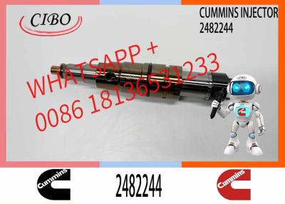 China Diesel Engine Parts 208663 Diesel Universal Rail Injector 2894920 2482244 for sale