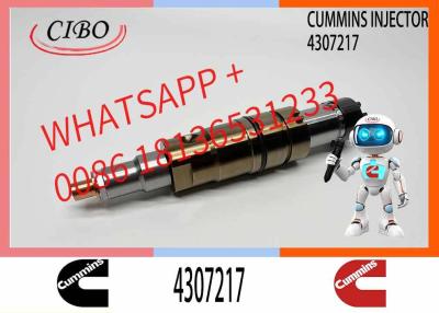 China High Performance Diesel Fuel Injector 3135830 4307217NX 5579423PX 4307217 5579423 More for sale