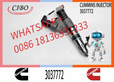China Good Quality M11 Diesel Engine Part Injector 4903084 4903319 3037772 for Cummins for sale