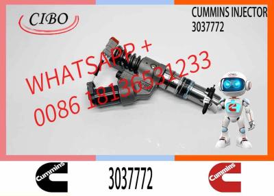 China Good Quality M11 Diesel Engine Part Injector 4903084 4903319 3037772 for Cummins for sale