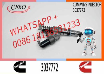 China Good Quality M11 Diesel Engine Part Injector 4903084 4903319 3037772 for Cummins for sale