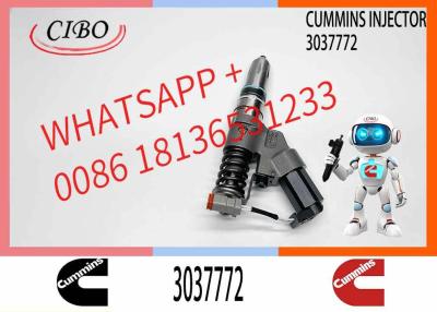 China Good Quality M11 Diesel Engine Part Injector 4903084 4903319 3037772 for Cummins for sale