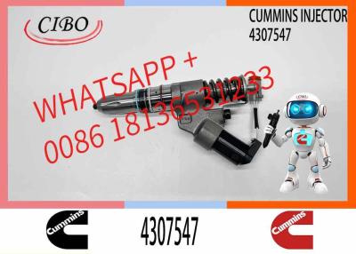 China Fuel Injector 4307547 3080429 for Cummins QSM11 ISM11 M11 Engine for sale