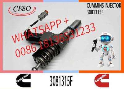 China Remanufacture Fuel Injector 3081315F 3083846T for sale