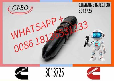 China NTA855 Diesel Fuel Injector Nozzle 3054218 3013725 3054213 for Cummins NT855 Engine Fuel Injector for sale