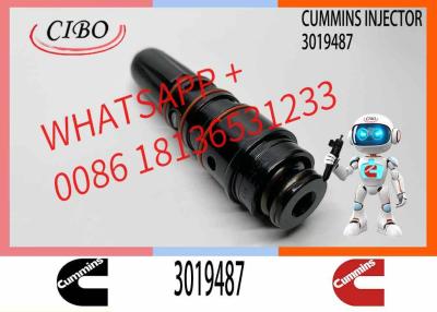 China PT Pump Fuel Pump 3165437 3019487 diesel Injection Pump for sale