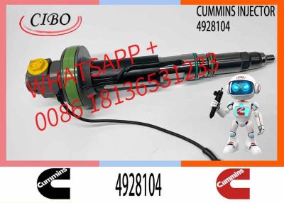 Cina Vendita diretta di fabbrica e molto popolare iniettore di carburante per motore diesel 2881087 2867149 2867148 4928104 per motore QSK19 in vendita