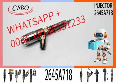 China Fuel Injector 2645A718 2645A734 2645A747 for sale