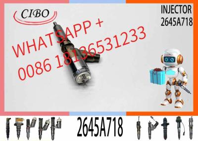 China Fuel Injector 2645A718 2645A734 2645A747 for sale