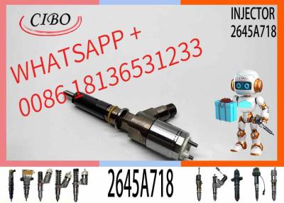 China Fuel Injector 2645A718 2645A734 2645A747 for sale