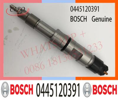 0445120391 Bagger Diesel Fuel Injector 0445120153 0445120387 für Weichai WP10 612630090055 0445120389