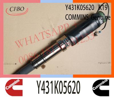 Cina Iniettore di combustibile di Y431K05620 Cummins per K19 DS-289708 Y 431 K05 620 in vendita
