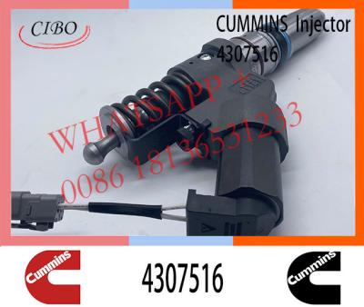 Cina Iniettore di combustibile diesel del motore di QSM11 ISM11 M11 4307516 4061851 in vendita