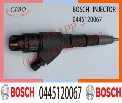 China 0445120067 Diesel Common Rail fuel Injector 4290987 20798683 7420798683 961204640054 04290987KZ For VOL for sale