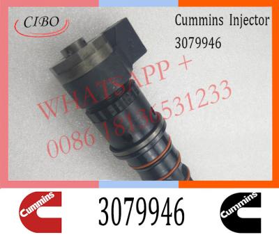 Cina Iniettore comune 3079946 del combustibile diesel KTA19 della ferrovia 3079947 3081277 in vendita