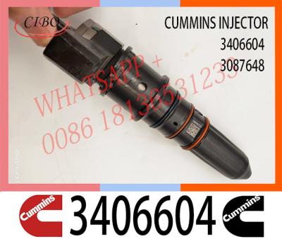 Chine Les pièces de moteur de M11 ISM huilent l'injecteur Assy Injector Diesel Engine Part 3406604 3087648 à vendre