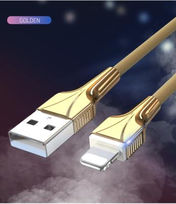 Cina cavo di carico veloce di USB della trasmissione dei dati di iso 55g 3A di 2M 3M in vendita