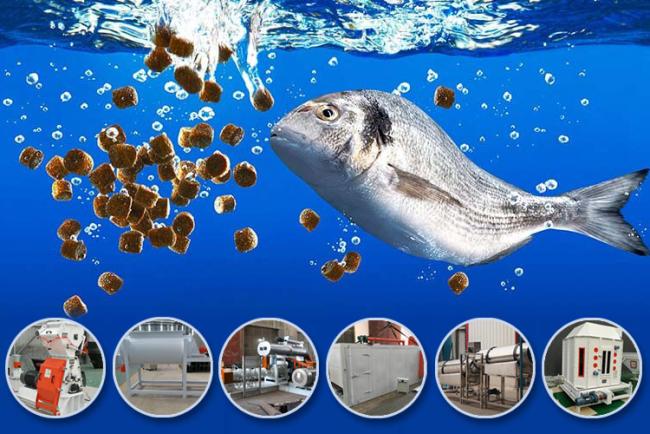 alimentation de poissons faisant l'usine