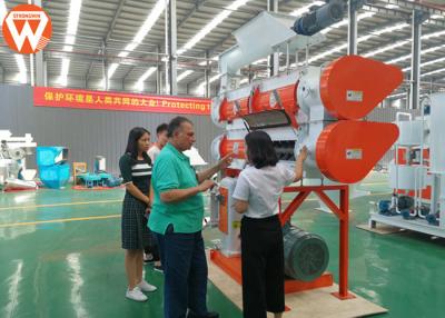Cina Macchina a basso rumore della pallina dell'alimentazione con il modulatore di doppio strato una capacità di 5 t/h in vendita