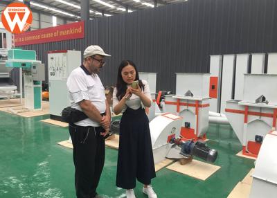 Cina Un pollame animale di 1-2.5 t/h appallottola la pianta dell'alimentazione con il consumo di energia basso dell'installazione in vendita