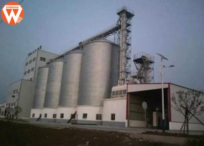 Cina Silo d'acciaio del cereale dell'attrezzatura ausiliaria dell'azienda agricola di maiale per la pallina dell'alimentazione che fa linea in vendita