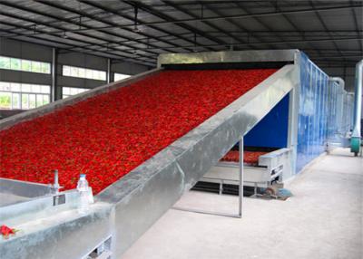 Cina Essiccatore a un solo strato 900kg/h dell'alimentazione animale dell'impianto di essiccazione della cinghia di 1.2-2m in vendita