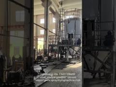 Automatische de Nevel Drogende Machine van het Onmiddellijke Koffiepoeder 100kg/H
