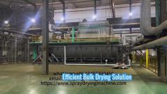 Paddle Dryers: The Ultimate Solution for Efficient Bulk Material Drying