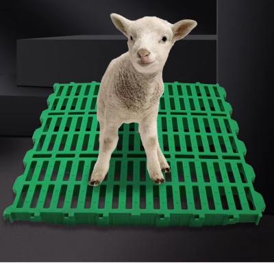 China Sheep Farm Pure PP Plastic Slatted Floor Washable Easy To Install for sale