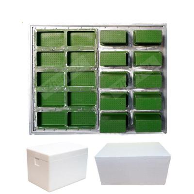 China EPS Mould Polystyrene Foam Craft Mold for Foam Box Other Custom Mould for sale