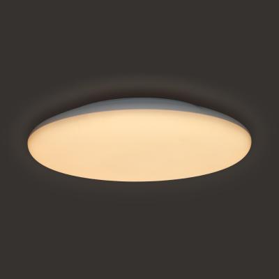 Cina Lampada di Ip65 Dimmable Mini Ceiling Mount Motion Sensor principale in tondo in vendita