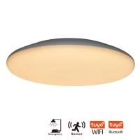 China Ip65 Dimmable Mini Ceiling Mount Motion Sensor Light Fixture Led Round for sale