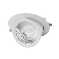 China Gimbal LED Scoop Downlight for sale