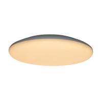 China 5500k 5000k Daylight Led Ceiling Light for sale